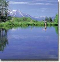 Welcome to The Landings At Chama